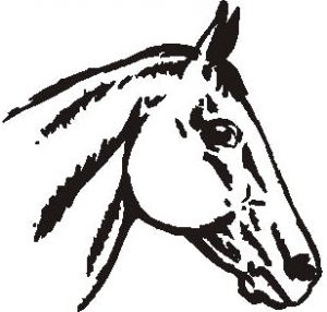 Tipos de lineas en el diseño