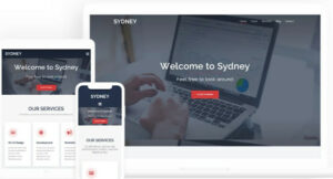 30 themes wordpress responsive gratis listos para descargar