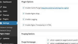 Los Mejores Plugins Nginx para WordPress